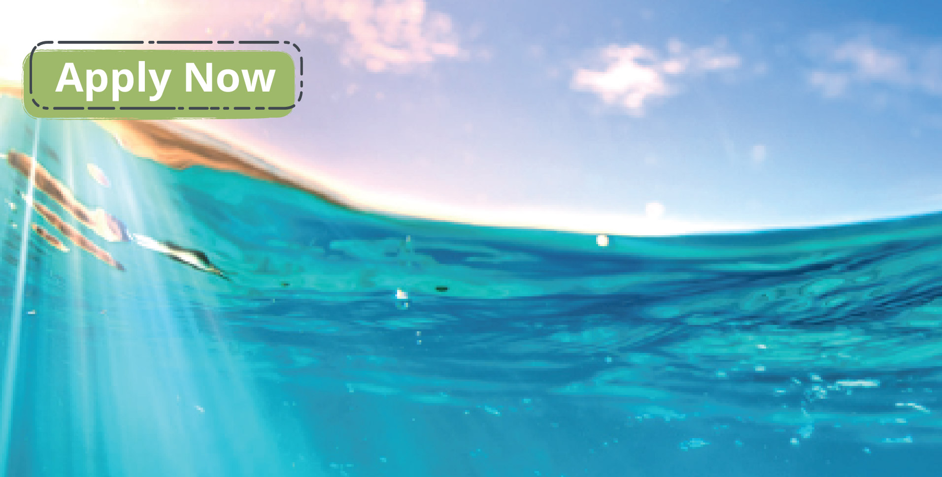 LME:Learn Ocean Governance - Cap-Net