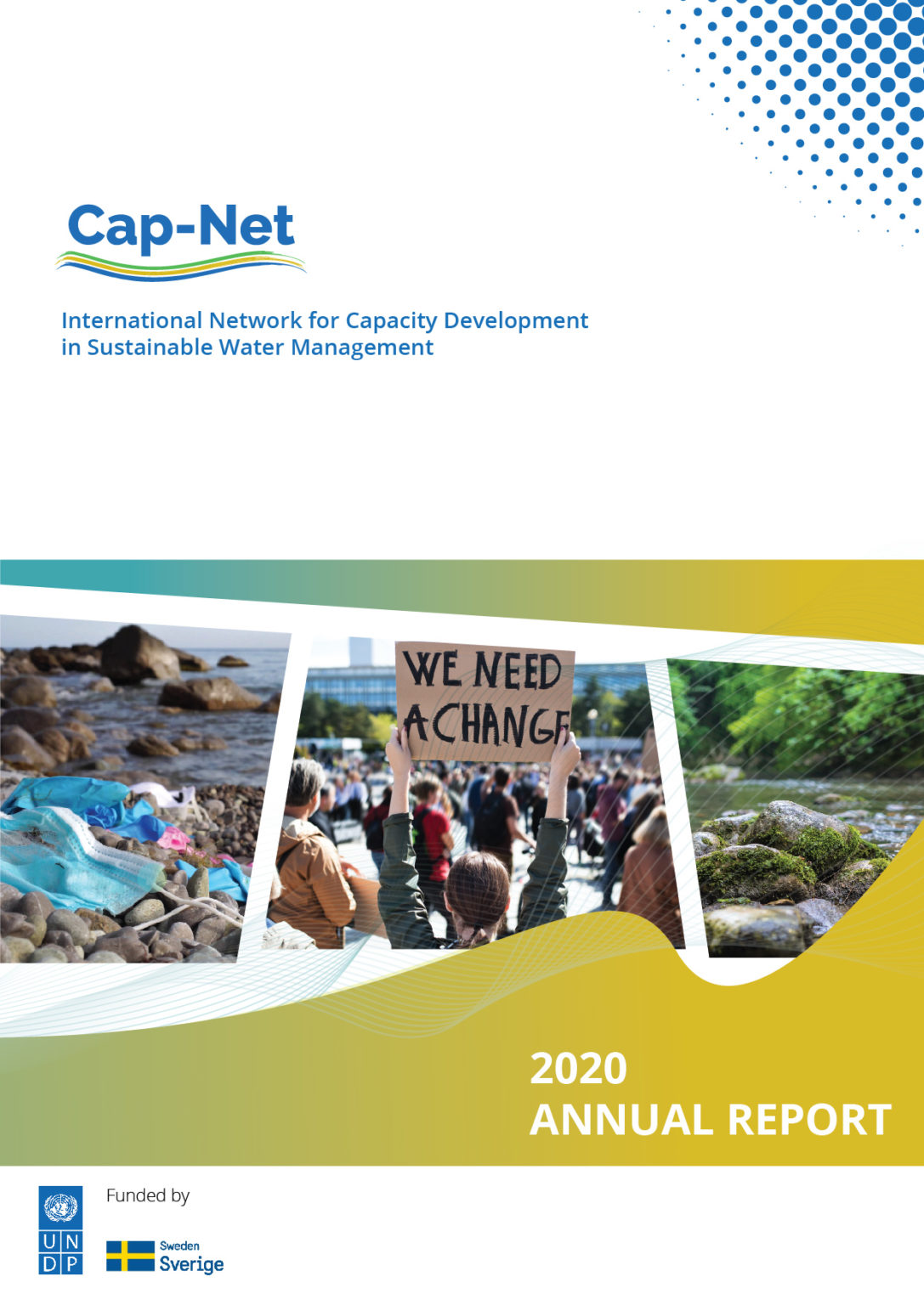 Cap-Net Progress Report 2020 - Cap-Net