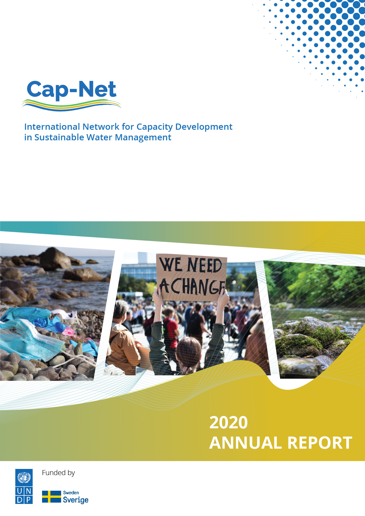 Cap-Net Progress Report 2020 - Cap-Net
